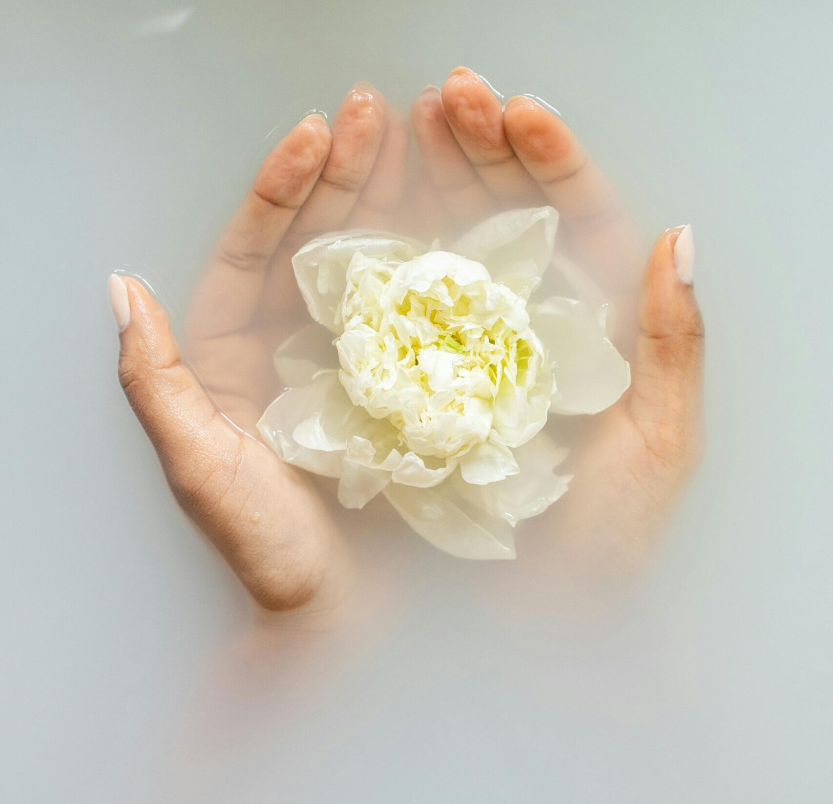 Wellness Boxes | Revivelife I Naturopathic Clinic in Ottawa